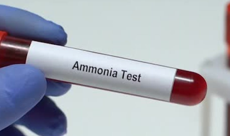 Ammonia: Applications, Production Methods, and Environmental Impact.