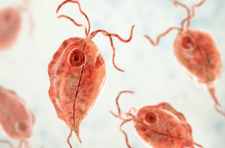 Trichomoniasis: Comprehensive Guide to Causes, Symptoms, Testing, and ...