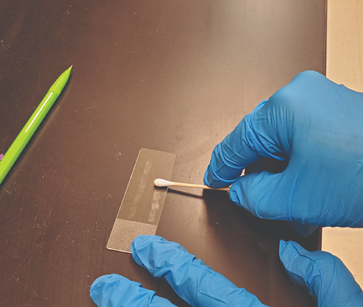 Understanding Culture and Sensitivity Ear Swab Tests: A Comprehensive Guide