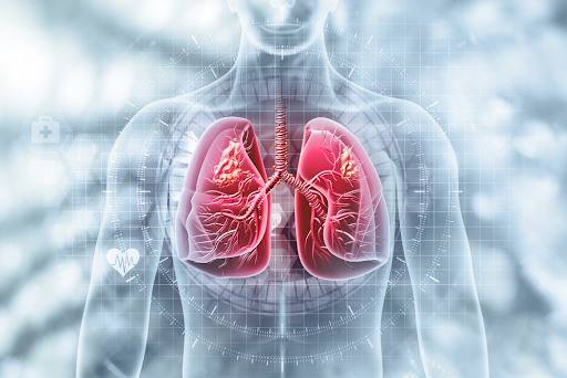 Pulmonary Function Tests: Types, Risks & Preparation